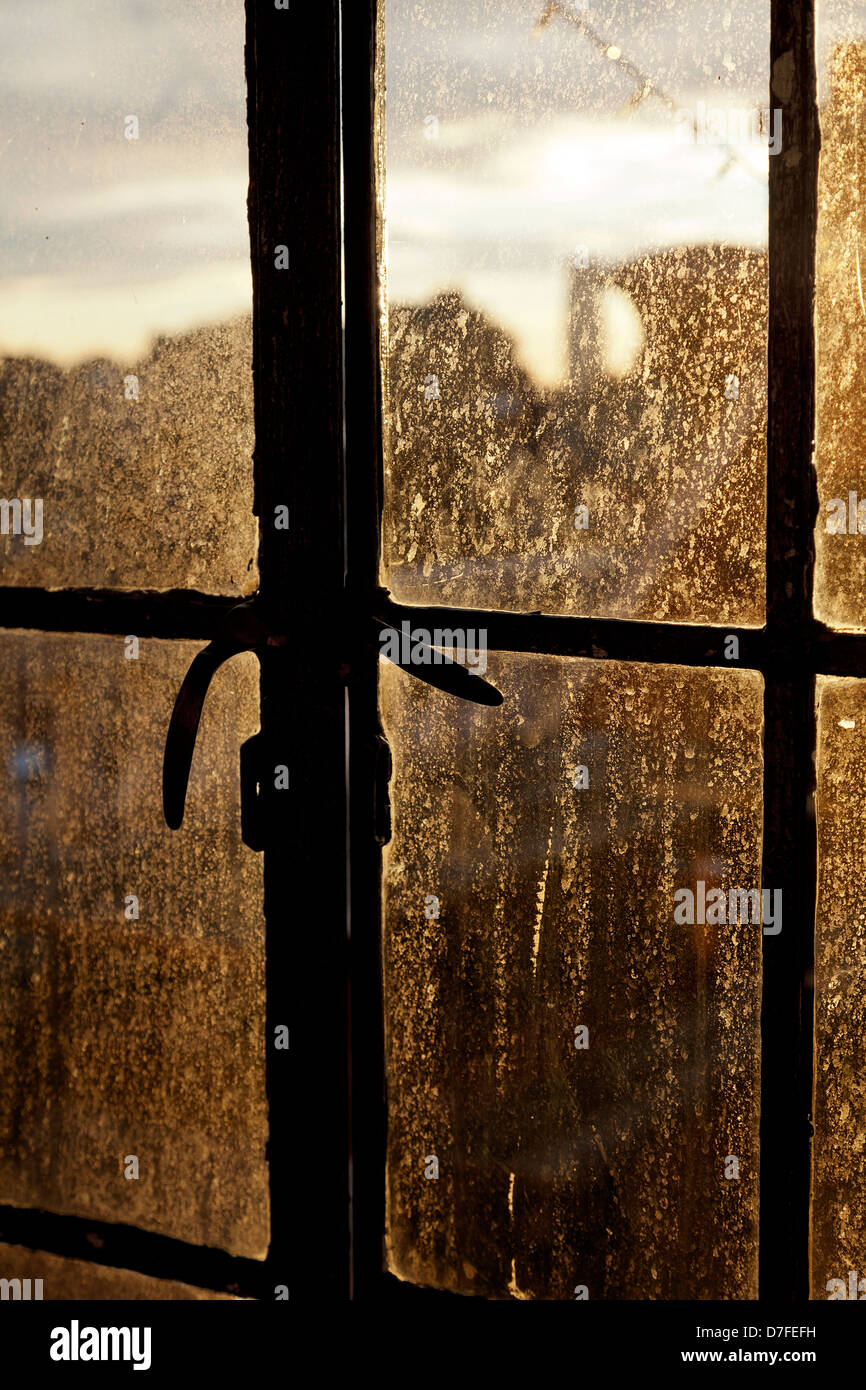 Afternoon yellow sun is back-lighting a window stained with drop marks ...