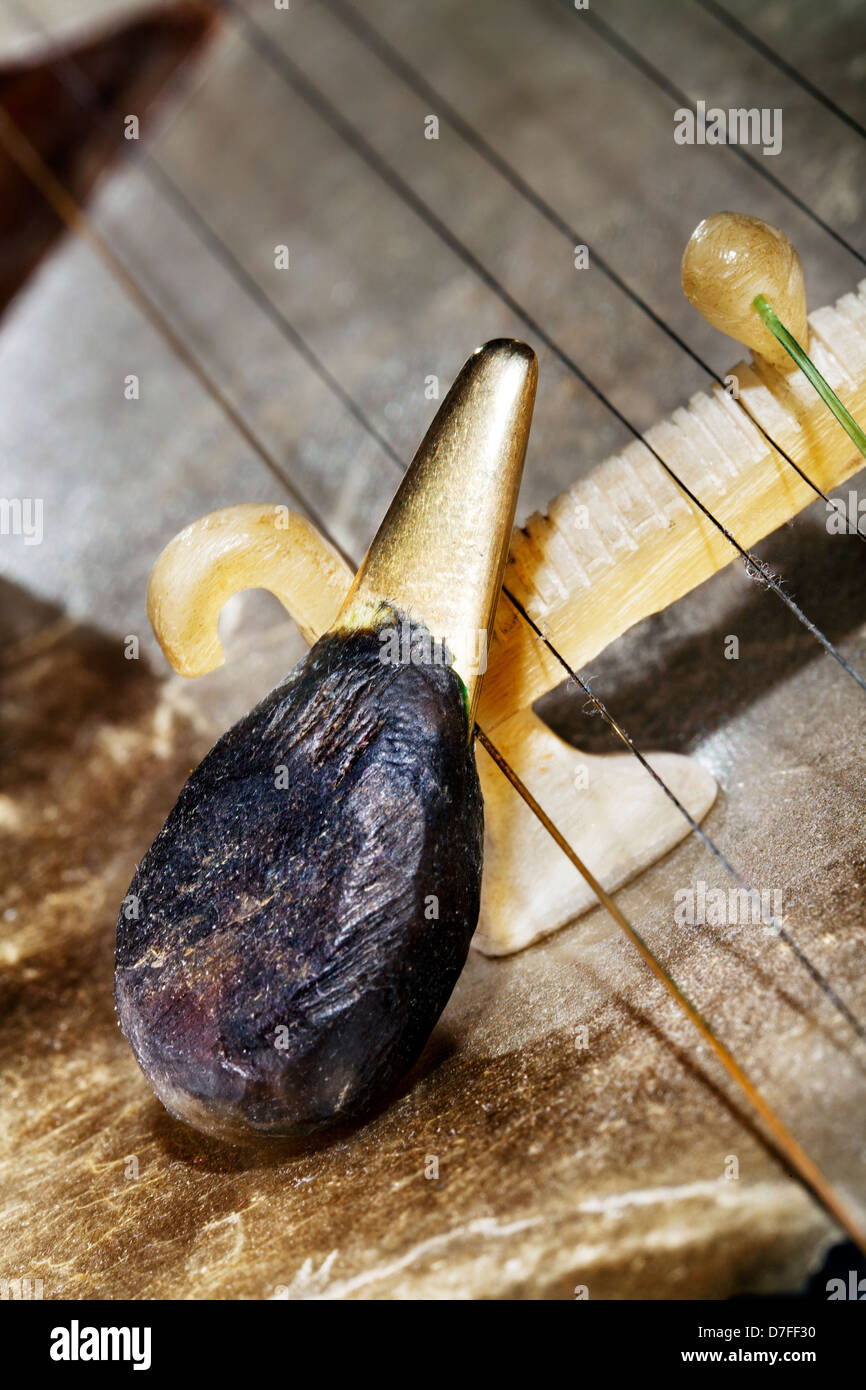 Persian musical instrument hi-res stock photography and images - Alamy