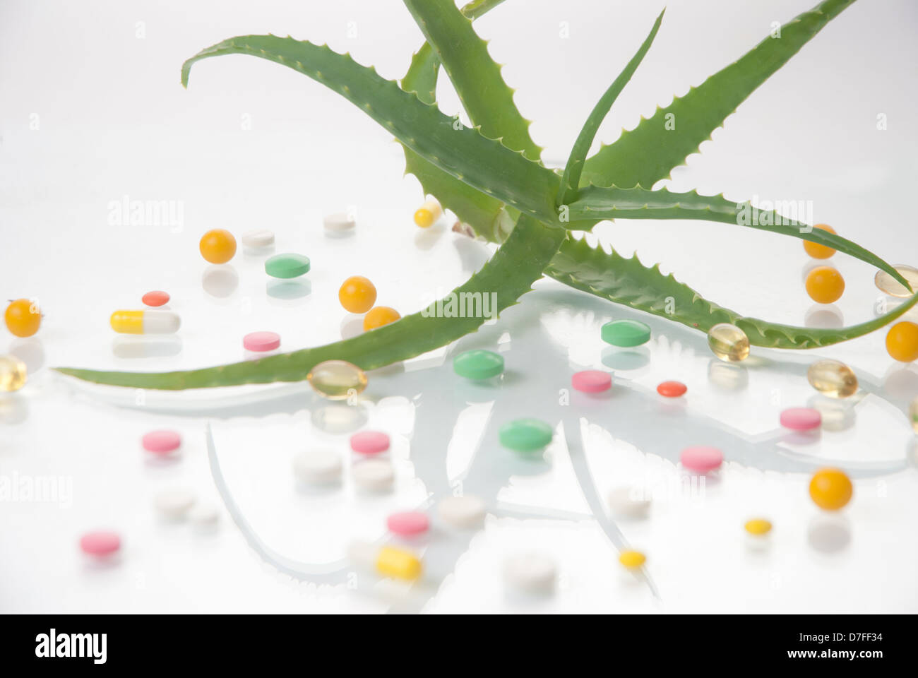 aloe vera plant with pills - herbal medicine Stock Photo - Alamy