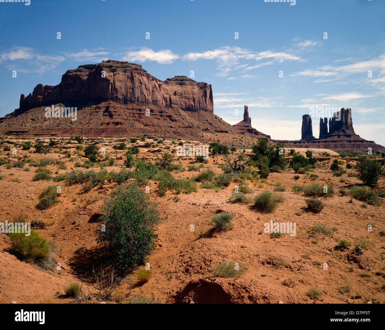 Arizona flora hi-res stock photography and images - Alamy