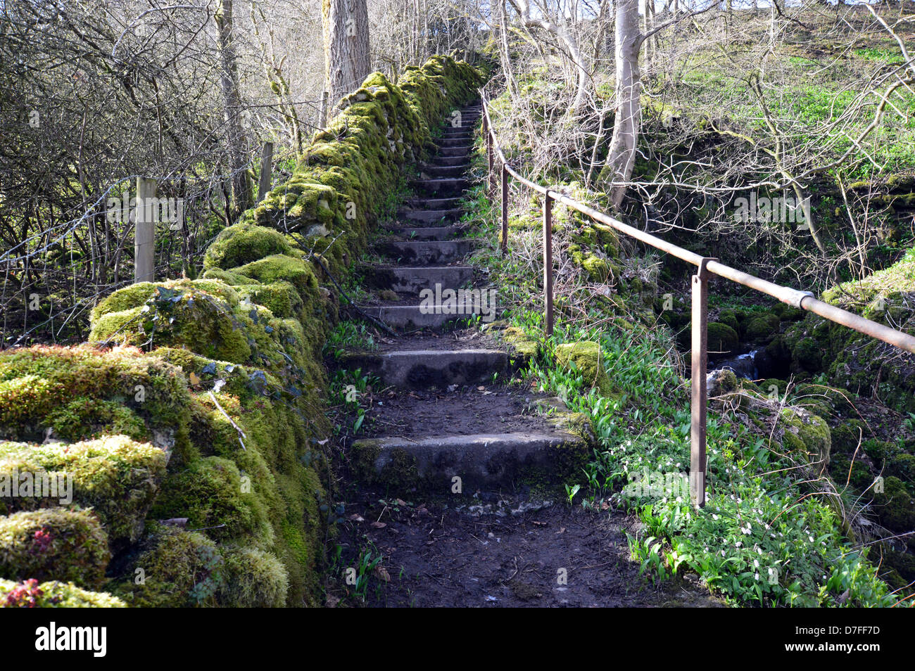 Stone Steps Leading to road from The River Wharfe near Burnsall on the ...