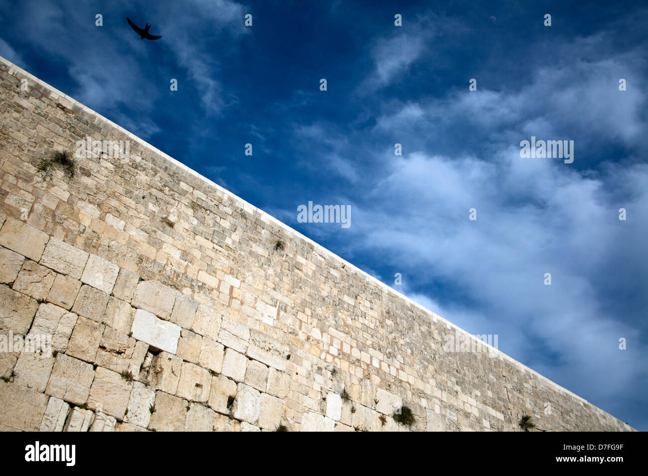 A bird soaring above one of the most sacred places to the Jewish people ...