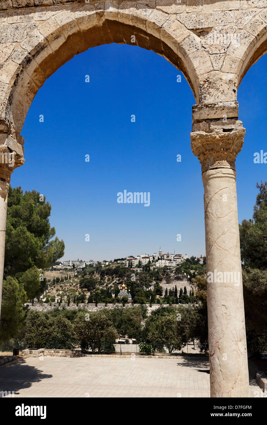 Jerusalem olive tree arch hi-res stock photography and images - Alamy