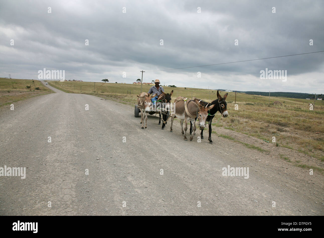 African man with donkey cart Stock Photo - Alamy
