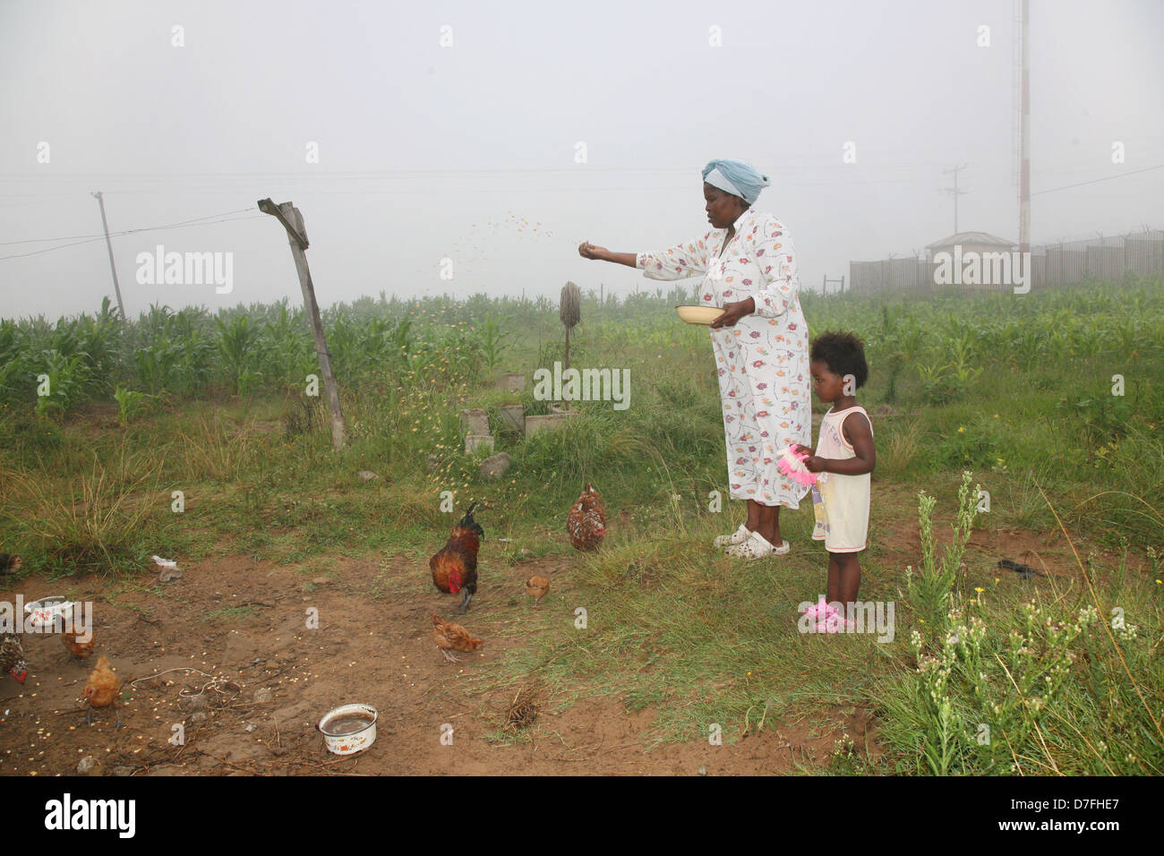 African mother and daughter feed their free range chickens in rural ...