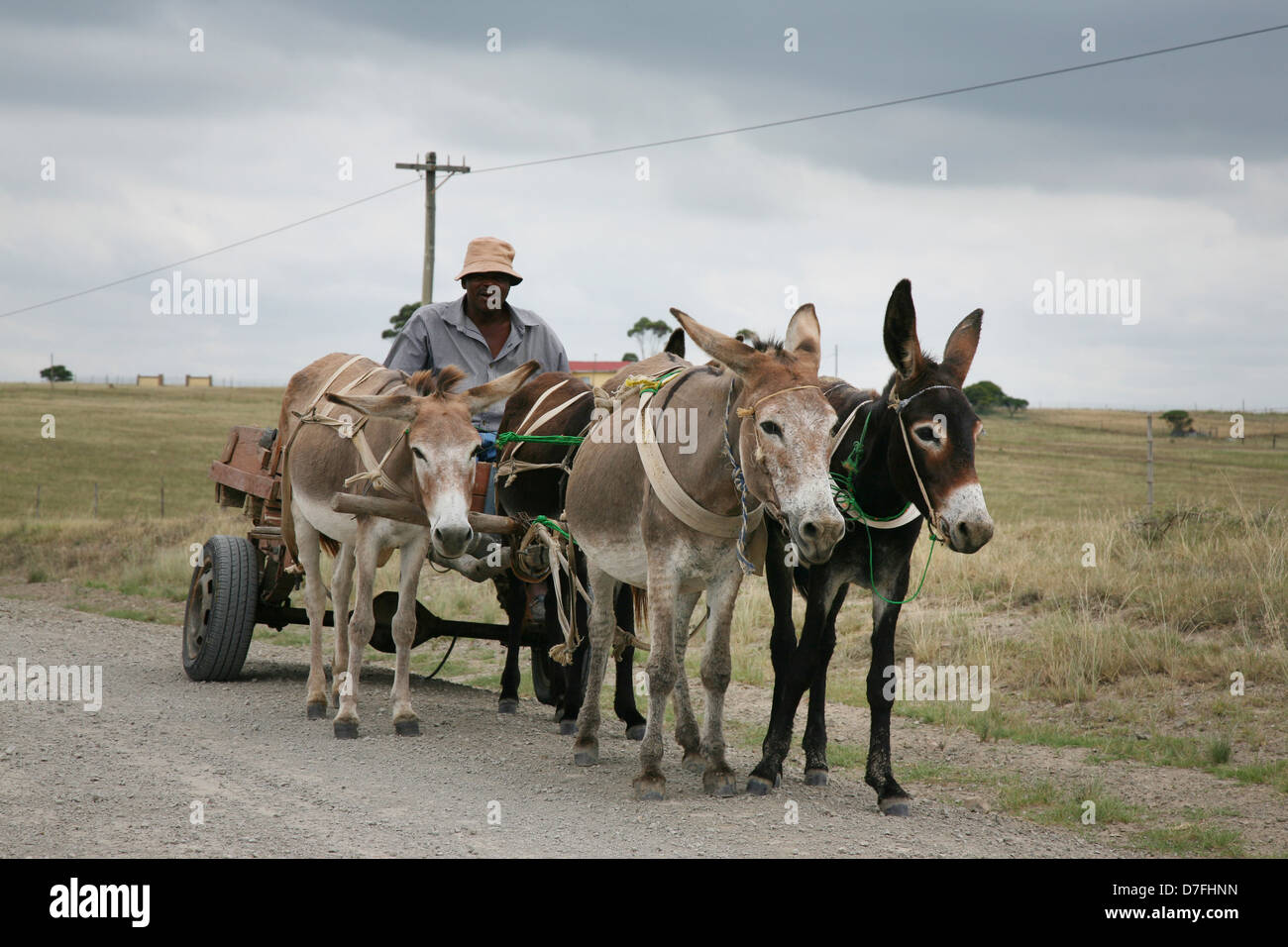 African cart hi-res stock photography and images - Alamy