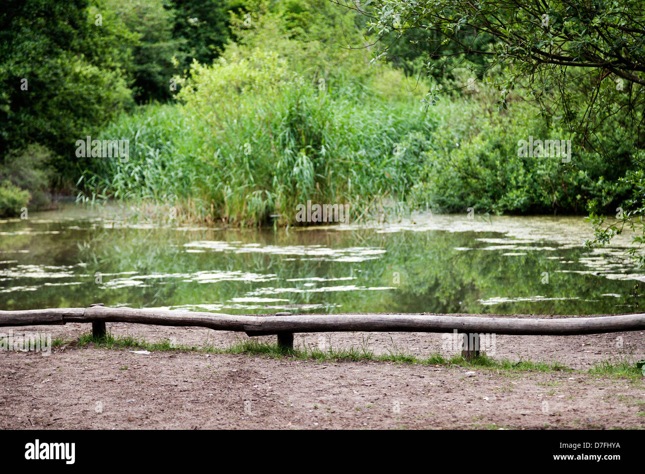 A lovely pond located at Gorlitzer park, Berlin, Germany Stock Photo ...