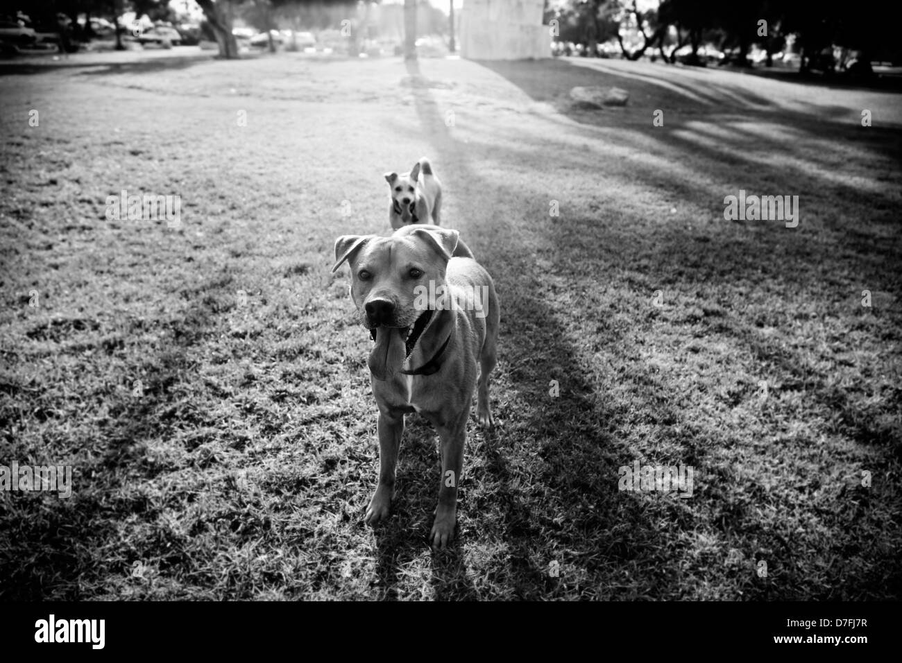 Viewtwo hi-res stock photography and images - Alamy