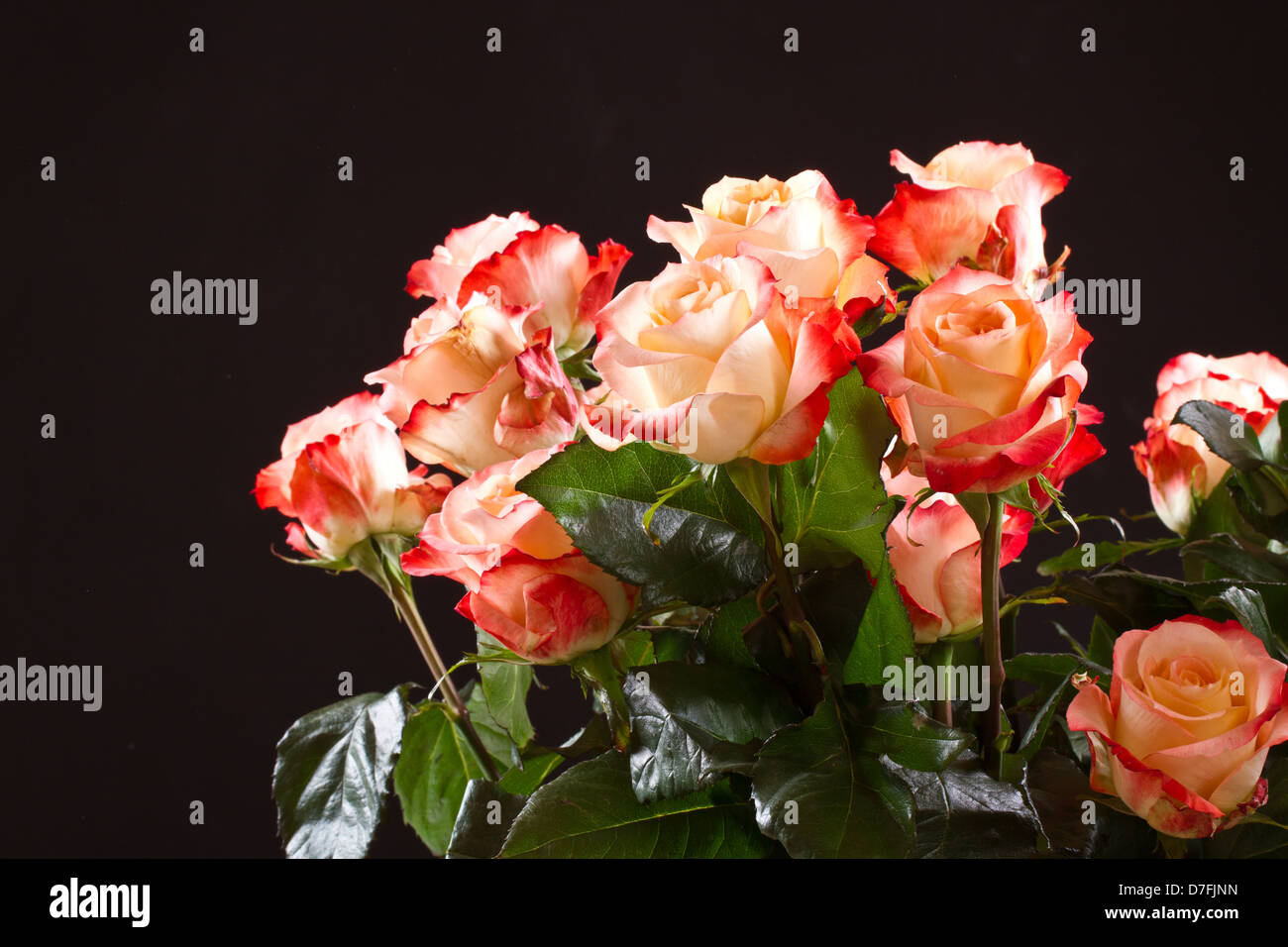 bouquet of beautiful roses Stock Photo - Alamy