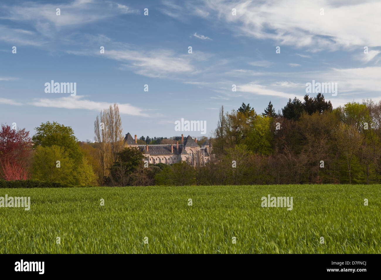 Abbaye de solesmes hi-res stock photography and images - Alamy