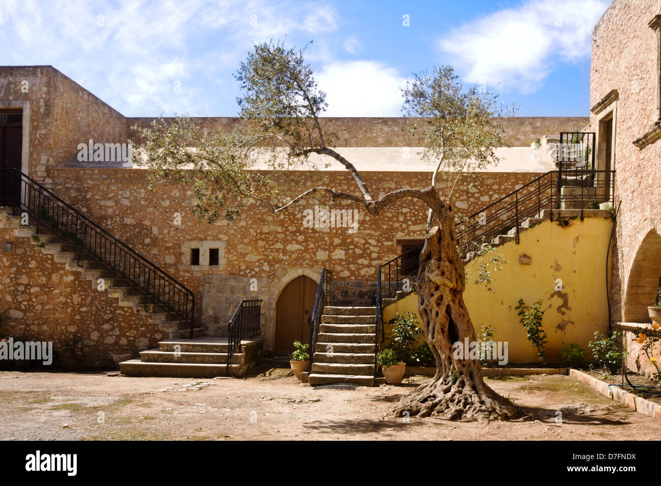Arkadi Monastery Tree High Resolution Stock Photography and Images - Alamy