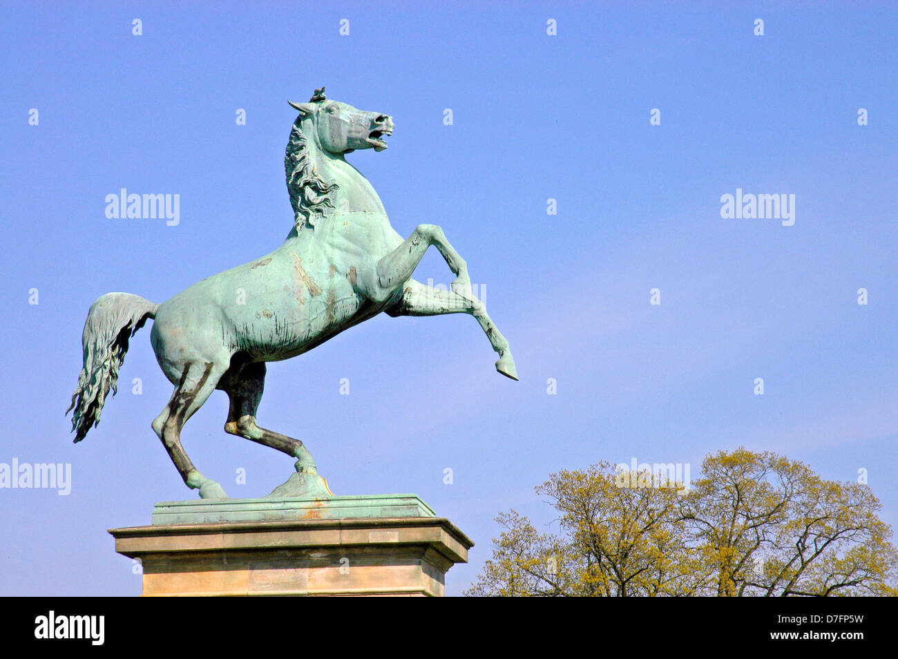 Heraldic animal saxons horse hi-res stock photography and images - Alamy