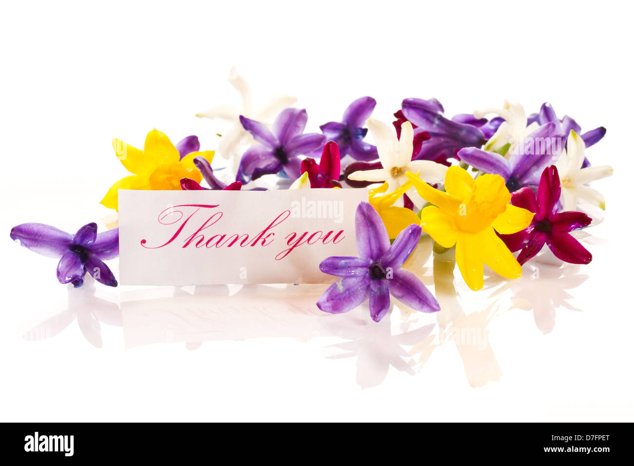 Appreciation bouquet Cut Out Stock Images & Pictures - Alamy