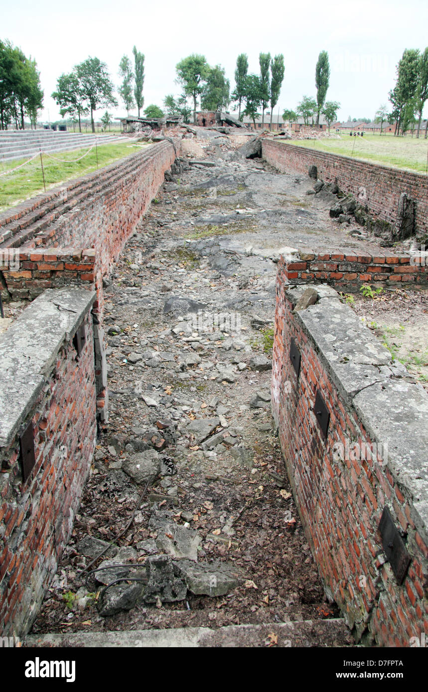 Ruins of the gas chamber building known as Crematorium IV, or Krema IV ...