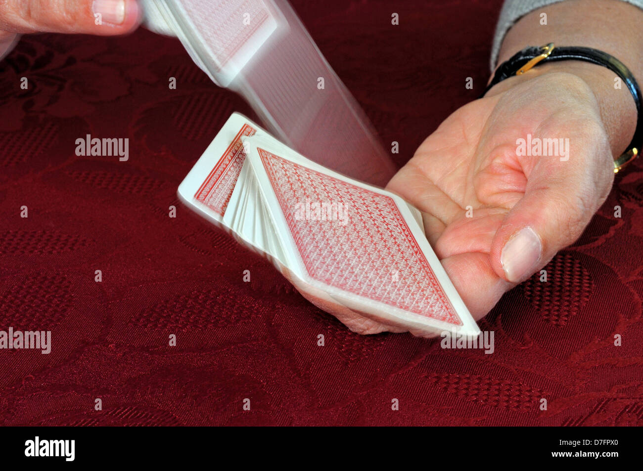 Woman shuffling a pack of playing cards, England, UK, Western Europe ...