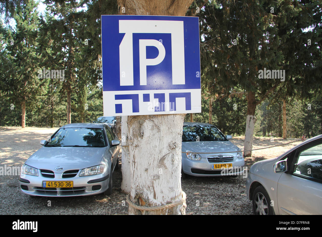 Israel tal hi-res stock photography and images - Alamy