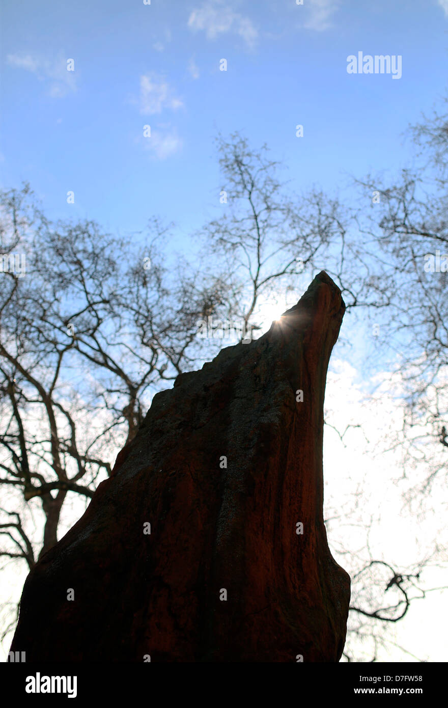 Fossilised tree hi-res stock photography and images - Alamy