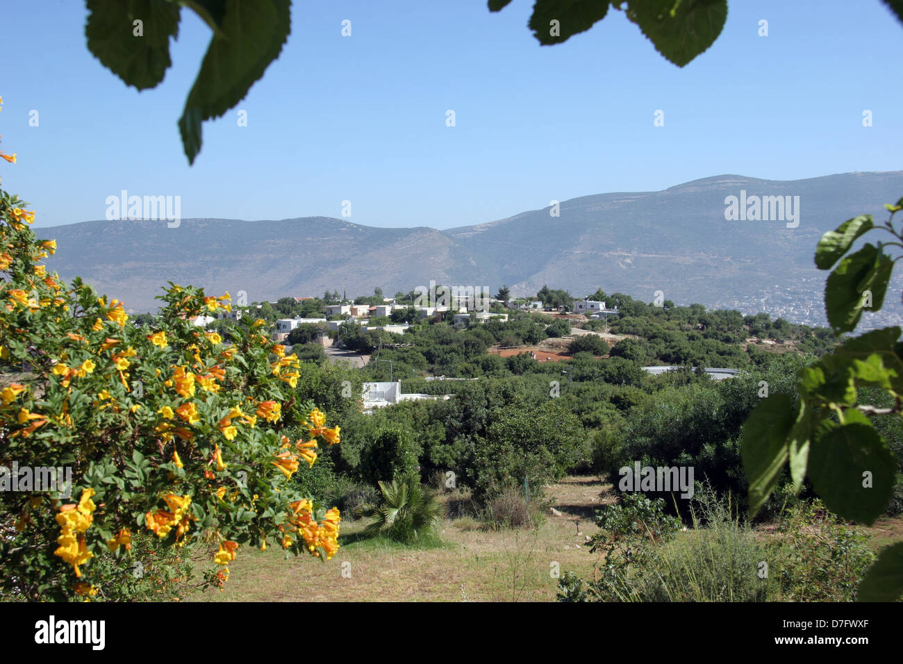 view of the northern neighborhood of kammon, misgav Stock Photo - Alamy