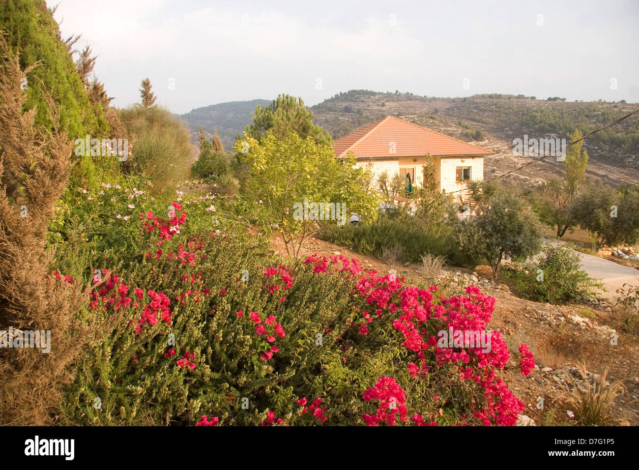 Living in jerusalem hi-res stock photography and images - Alamy