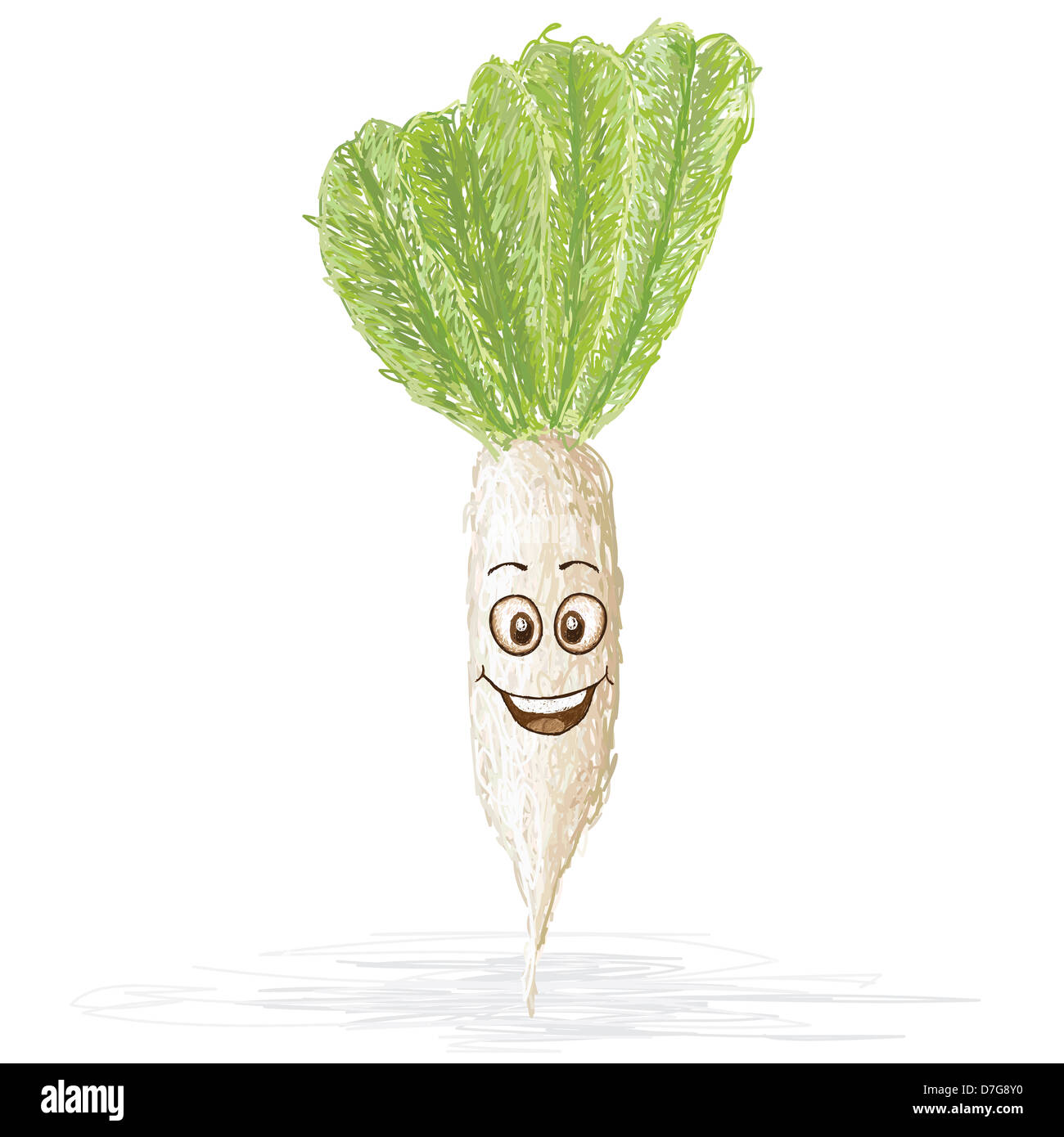 closeup illustration of fresh white radish vegetable Stock Photo - Alamy