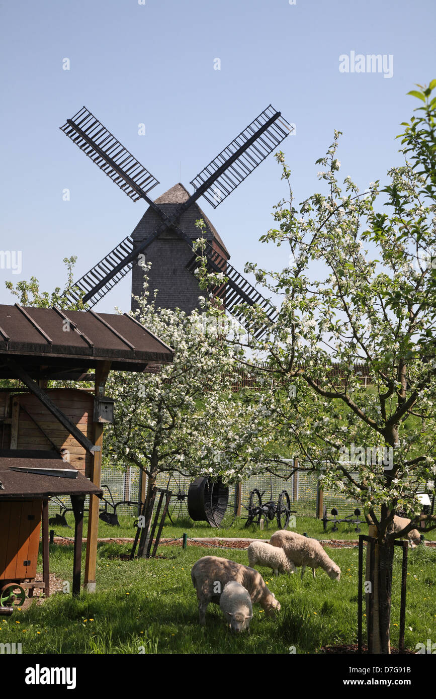 Berlin Marzahn Hellersdorf agriculture farming Stock Photo - Alamy