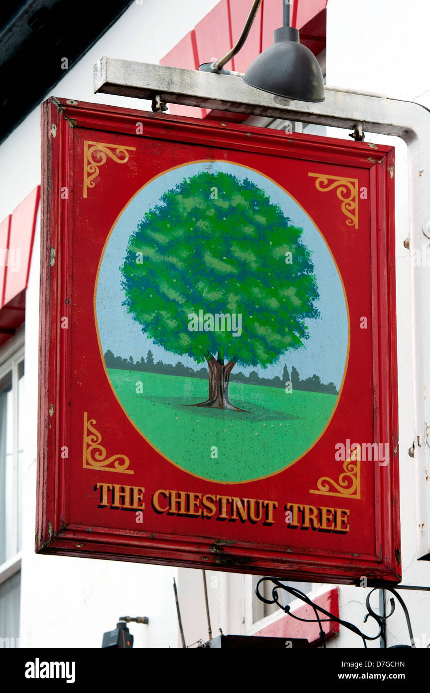 The Chestnut Tree pub sign, Chapelfields, Coventry, UK Stock Photo - Alamy