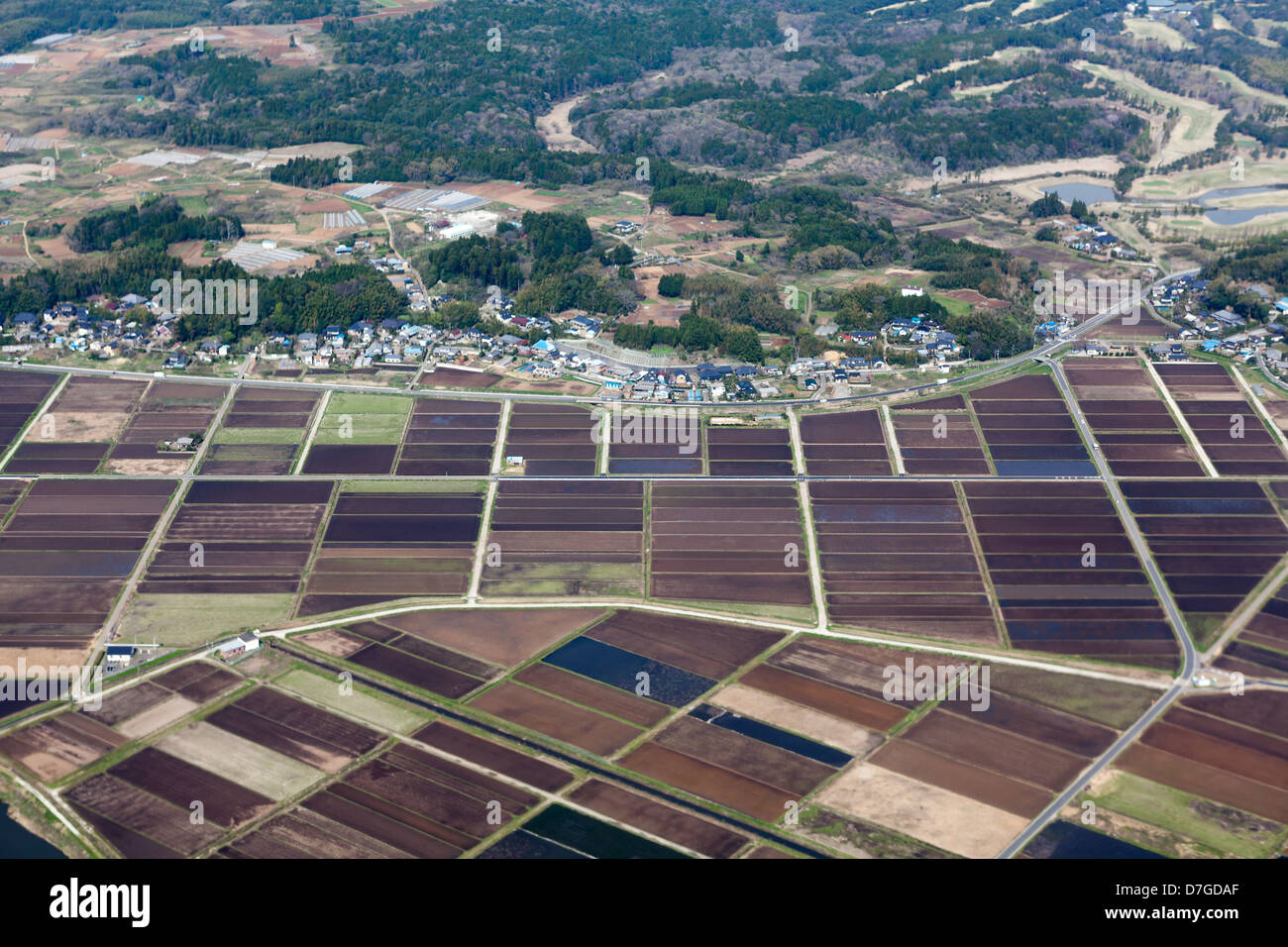 Rice meadows and fields near small Japanese village. Aerial view from ...