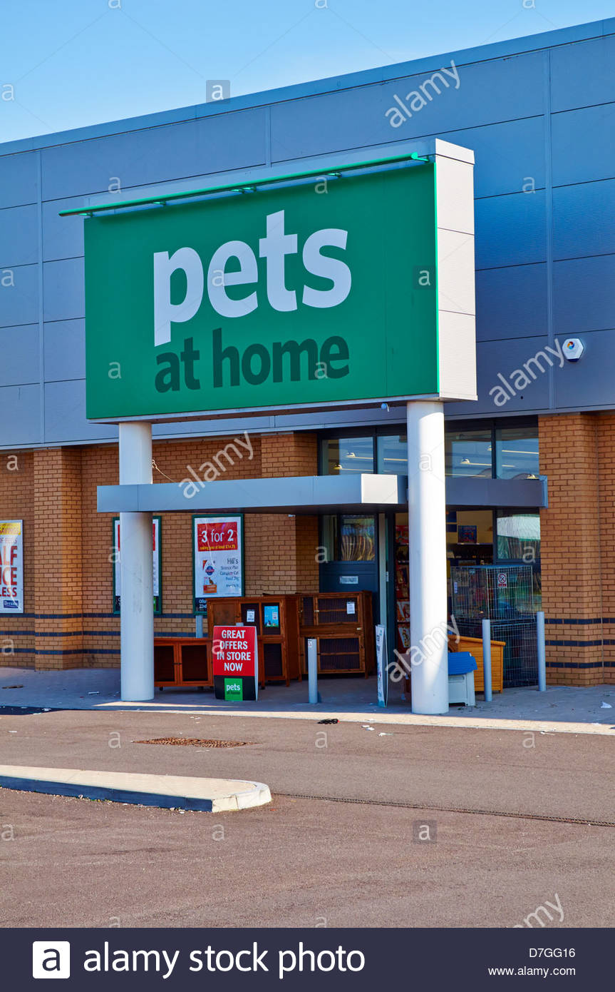 Pets At Home Stock Photos & Pets At Home Stock Images - Alamy