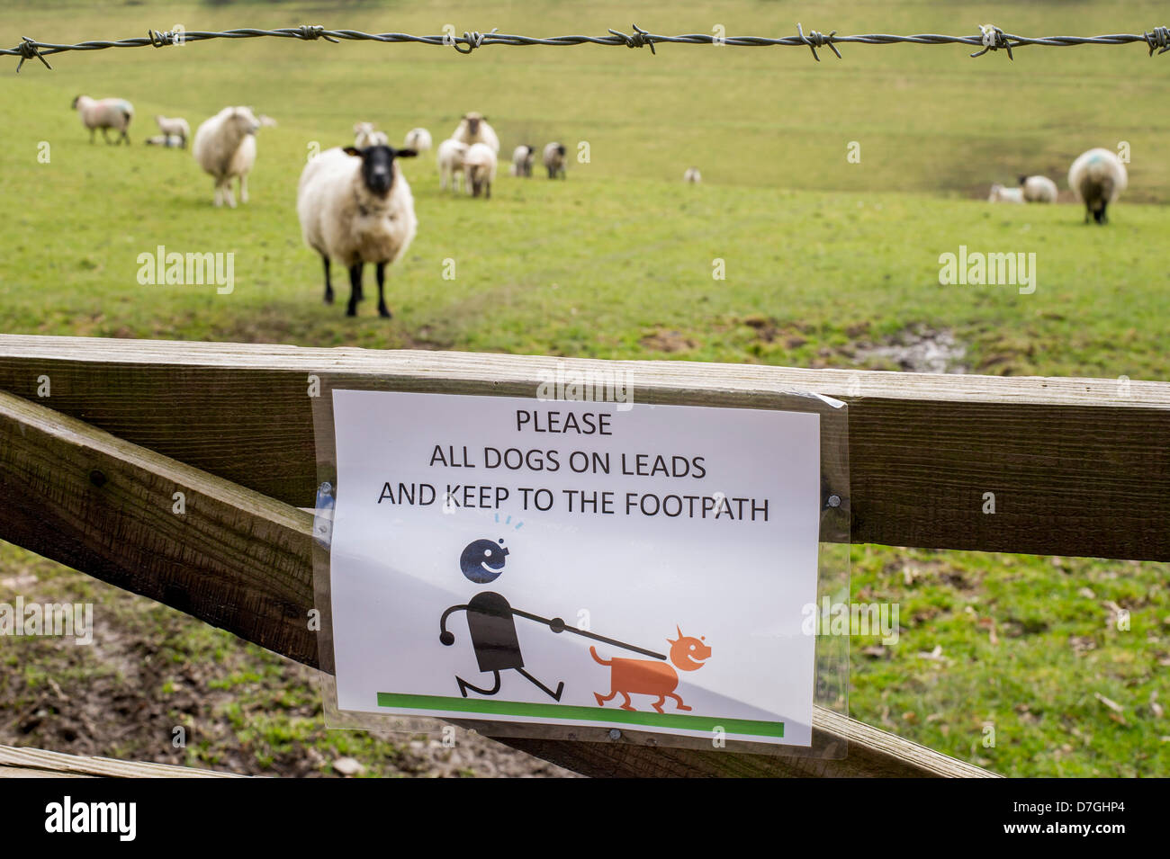 Dog On A Lead Sign Stock Photos & Dog On A Lead Sign Stock Images - Alamy