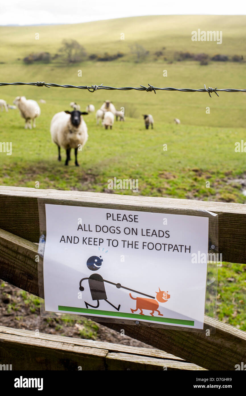 Dog On A Lead Sign Stock Photos & Dog On A Lead Sign Stock Images - Alamy
