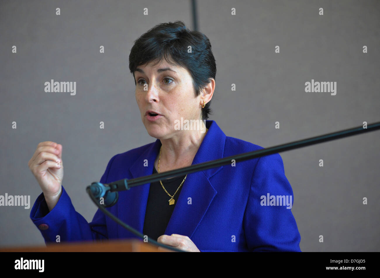 Ghitis hi-res stock photography and images - Alamy