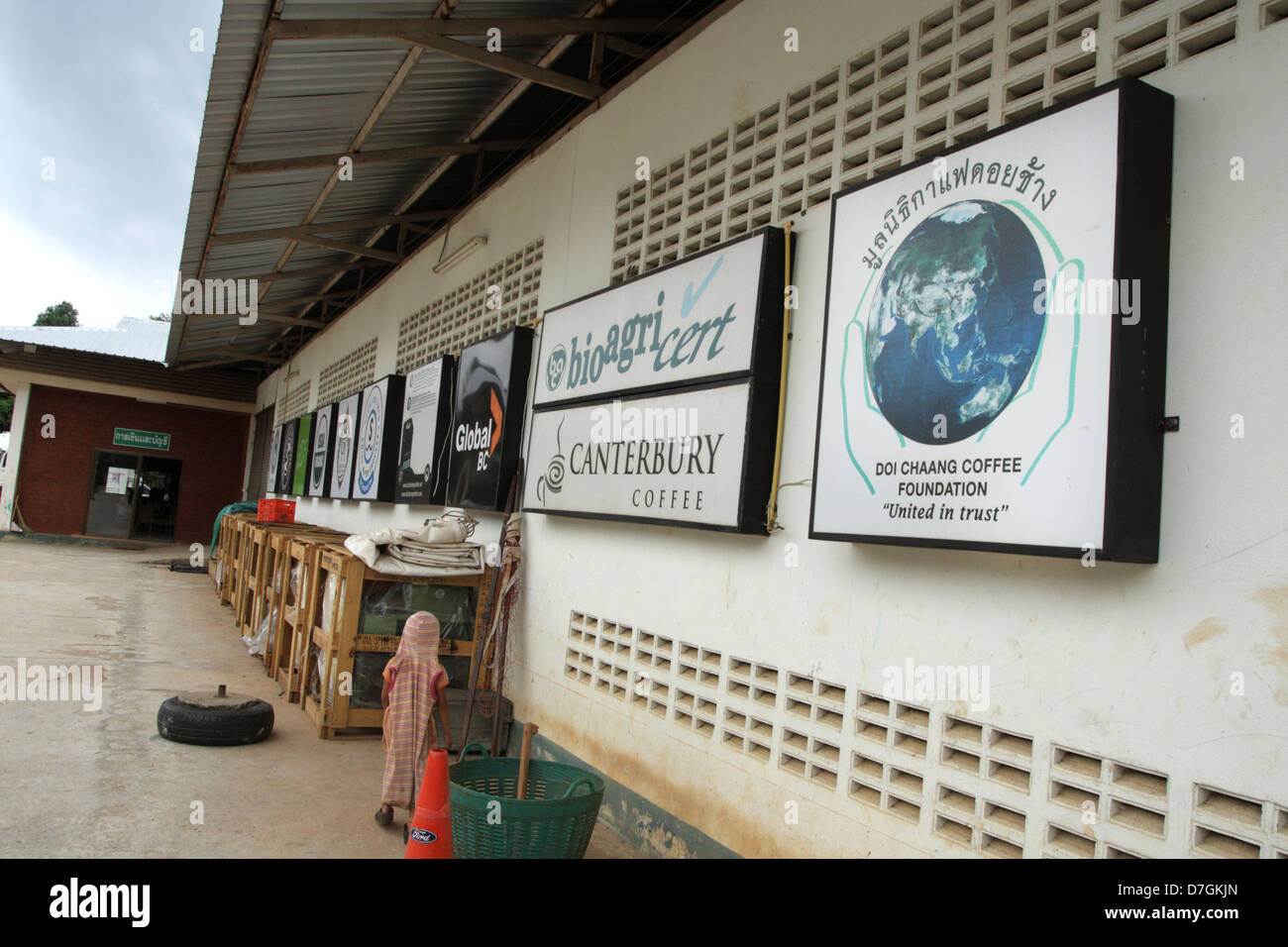 Doi Chaang Coffee Original Company, Chiang rai province , Thailand ...