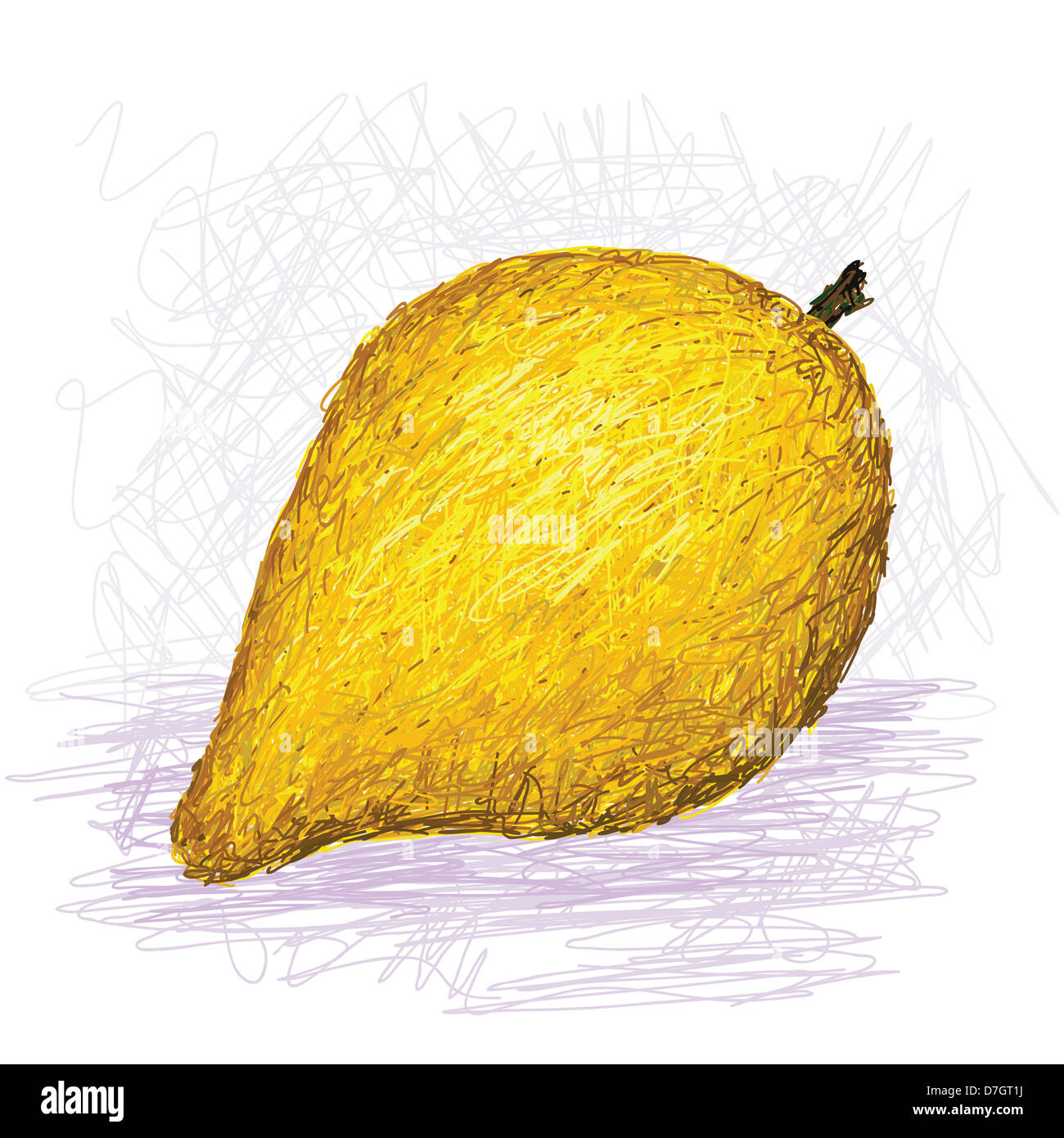 closeup illustration of whole canistel fruit, also kown for its ...