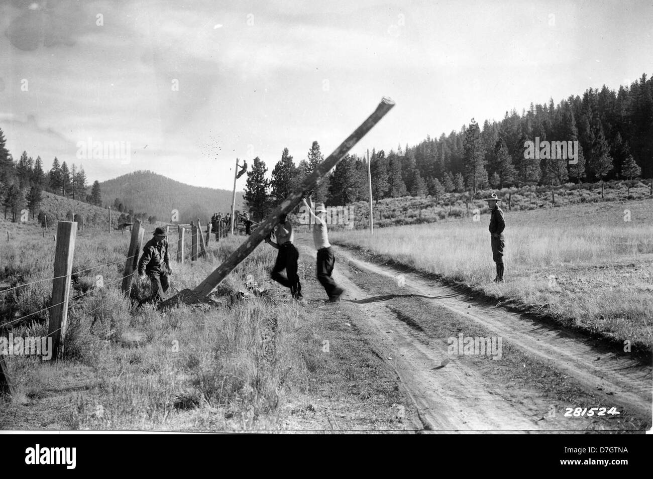 CCC crew erecting telephone line, Fremont National Forest, Oregon Stock ...