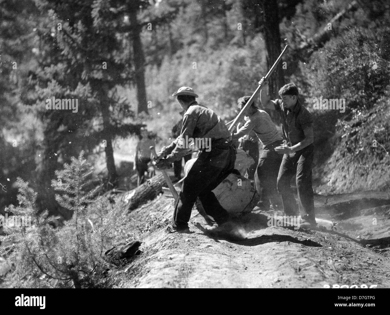 Clearing roadside hi-res stock photography and images - Alamy