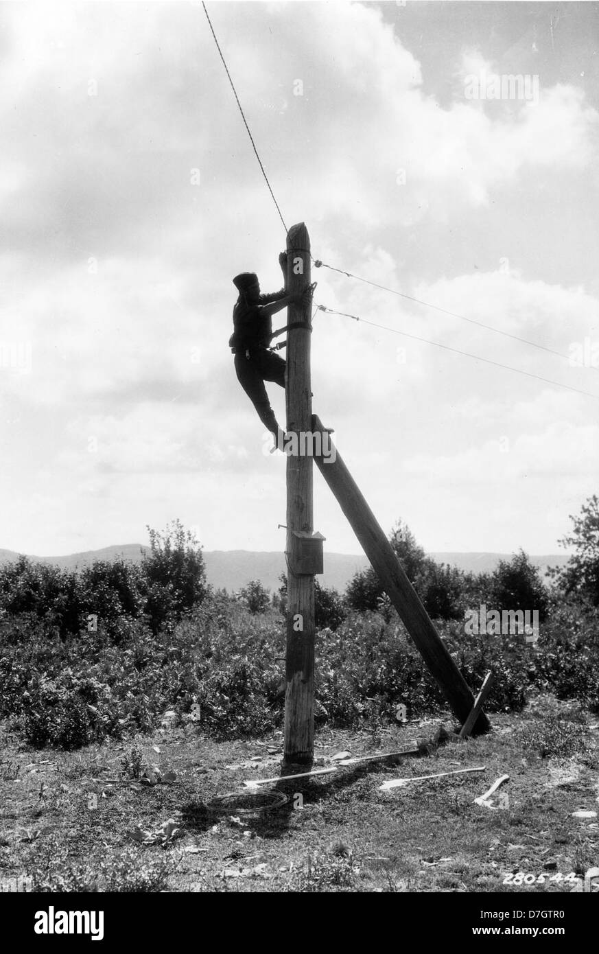 This photograph depicts a Civilian Conservation Corps (CCC) telephone ...