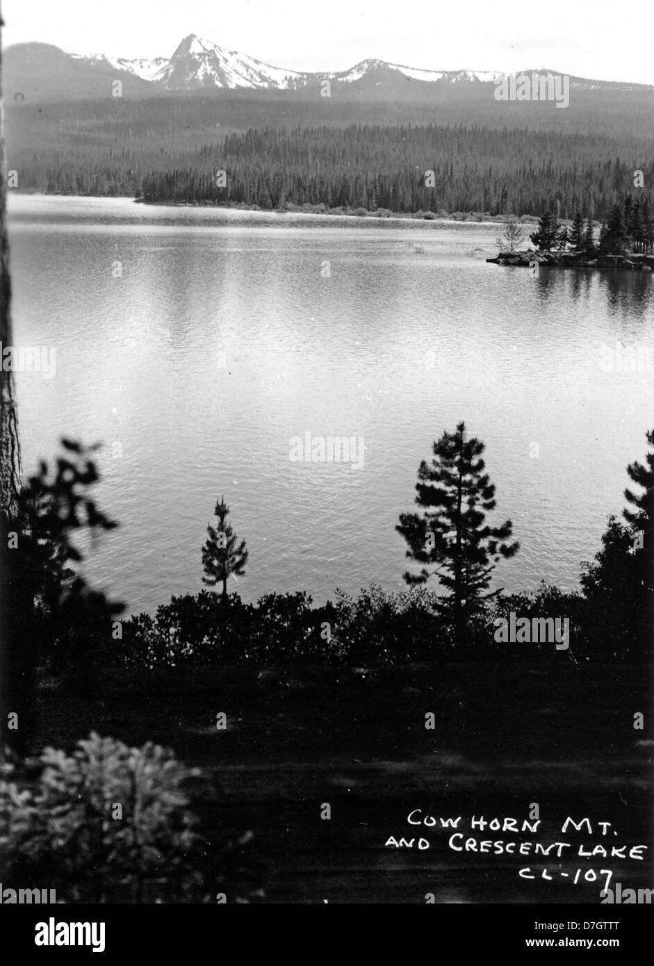 Cowhorn High Resolution Stock Photography and Images - Alamy