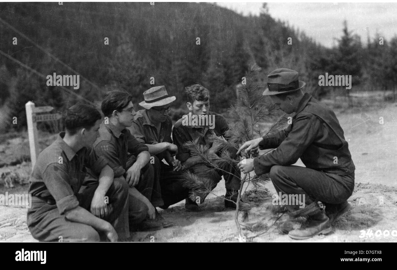 This photograph captures Civilian Conservation Corps (CCC) workers ...