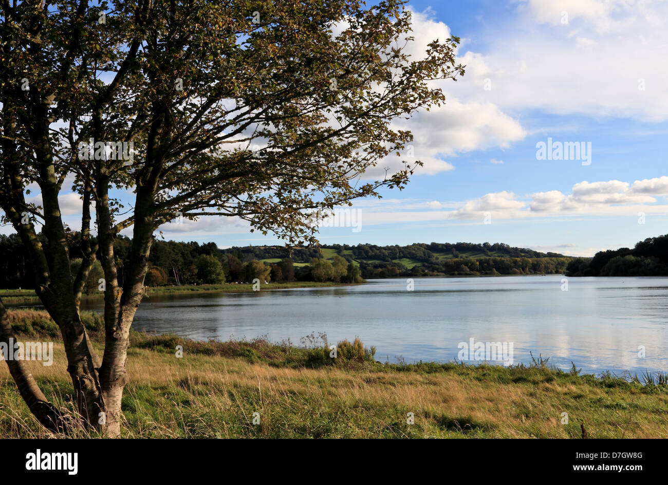 8869. Chew Valley Lake, Somerset, England, UK Stock Photo - Alamy