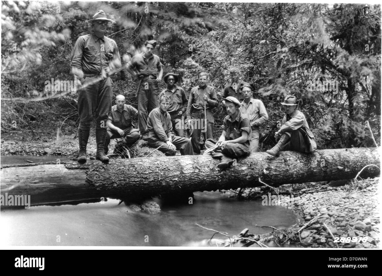 Usforestservice hi-res stock photography and images - Alamy