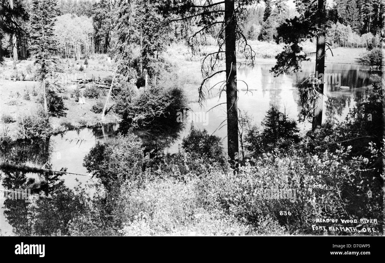 This image depicts the headwaters of the Wood River near Fort Klamath ...