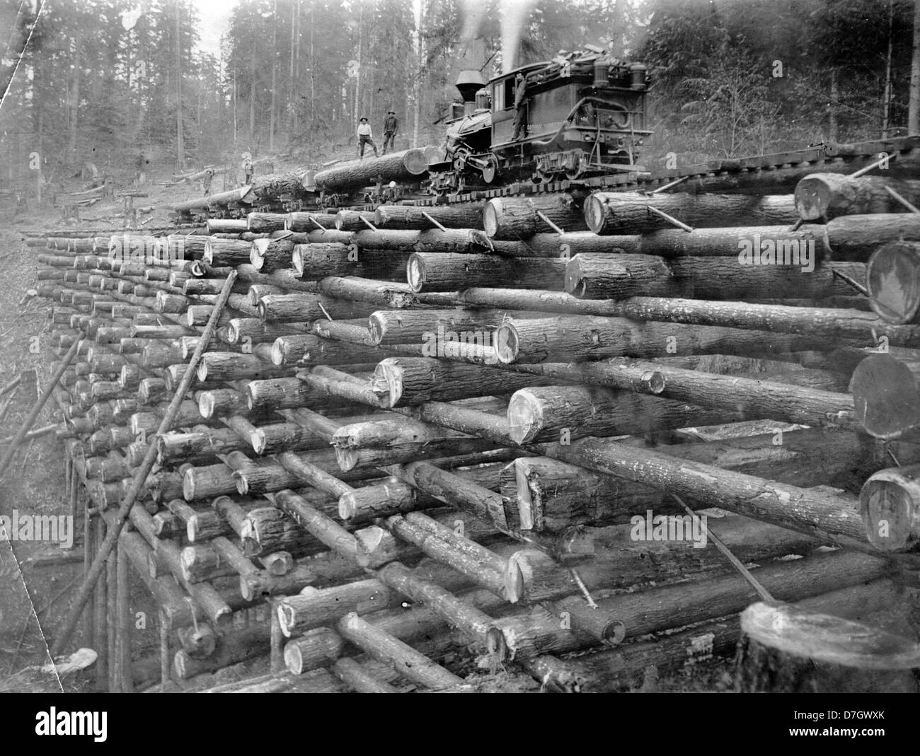 This photograph depicts a crib trestle on the *Columbia and Nehalem ...