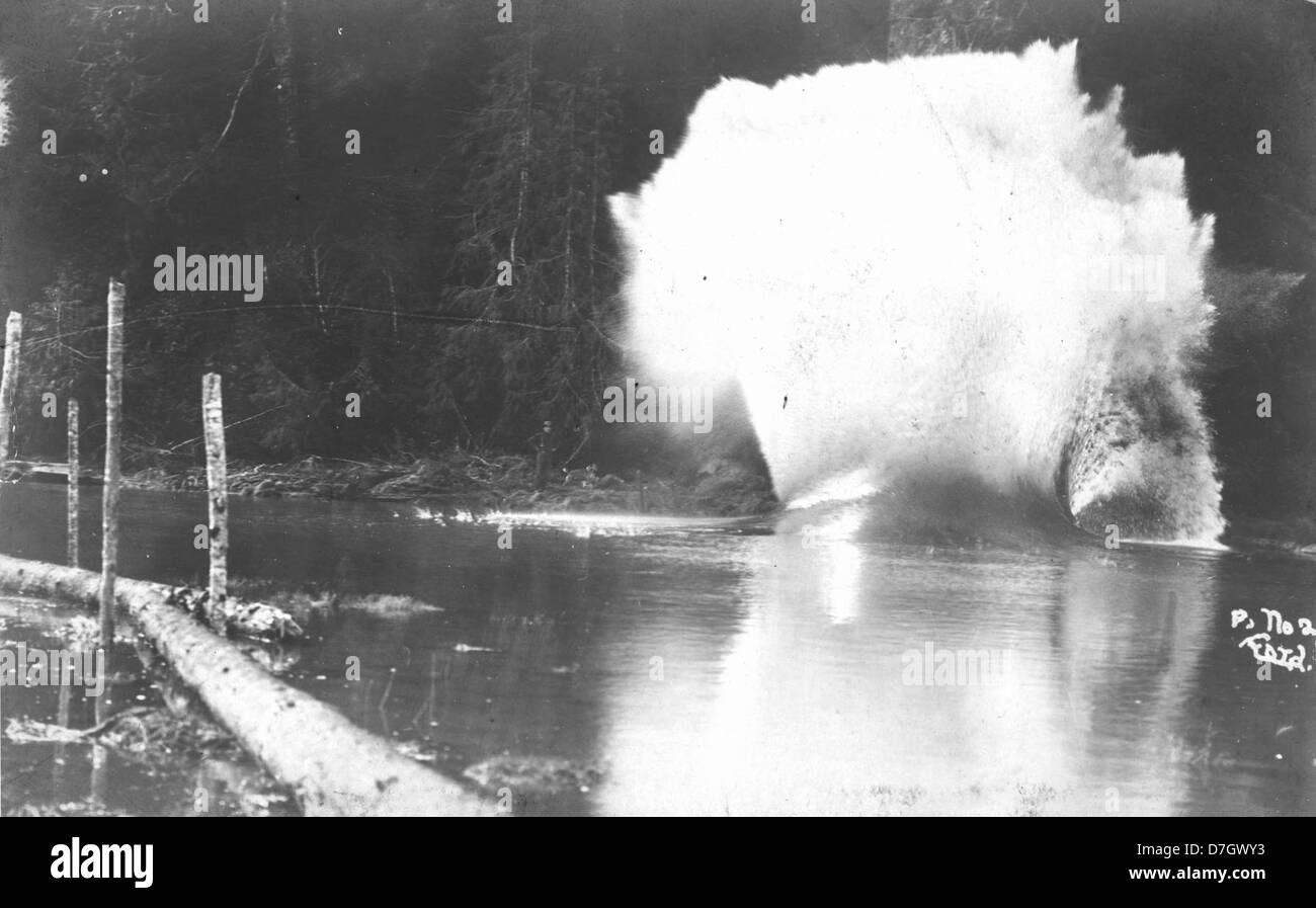 This image shows logs being dumped into a log pond, an integral part of ...