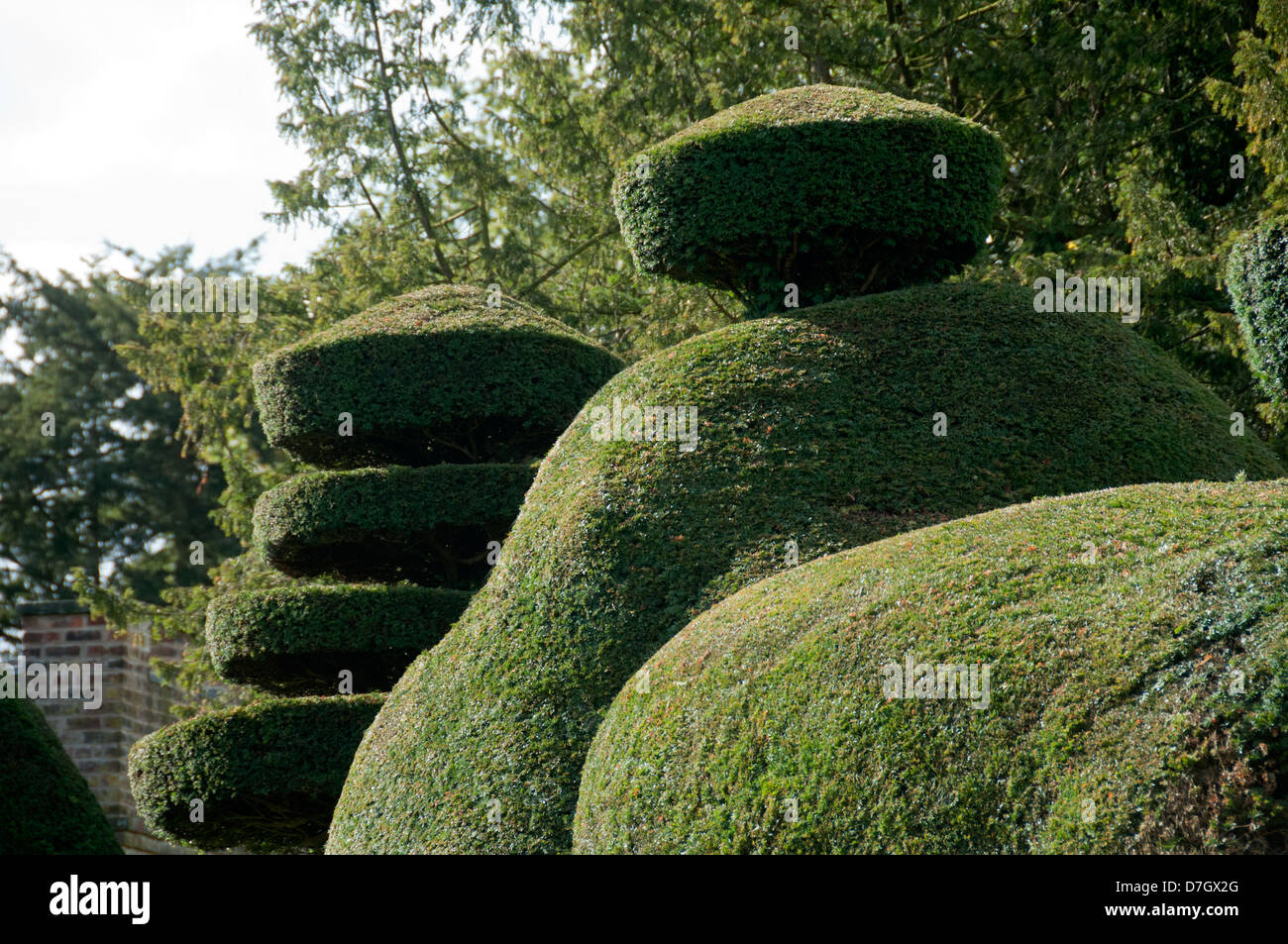 Topiary hi-res stock photography and images - Alamy
