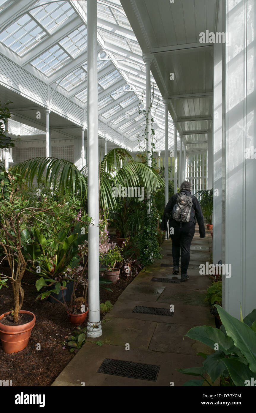 Tropical Plants Greenhouse Inside High Resolution Stock Photography and ...