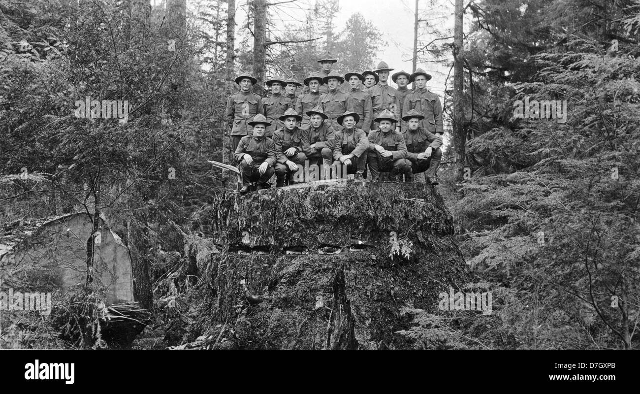 Spruce Division soldiers are pictured standing on a tree stump ...