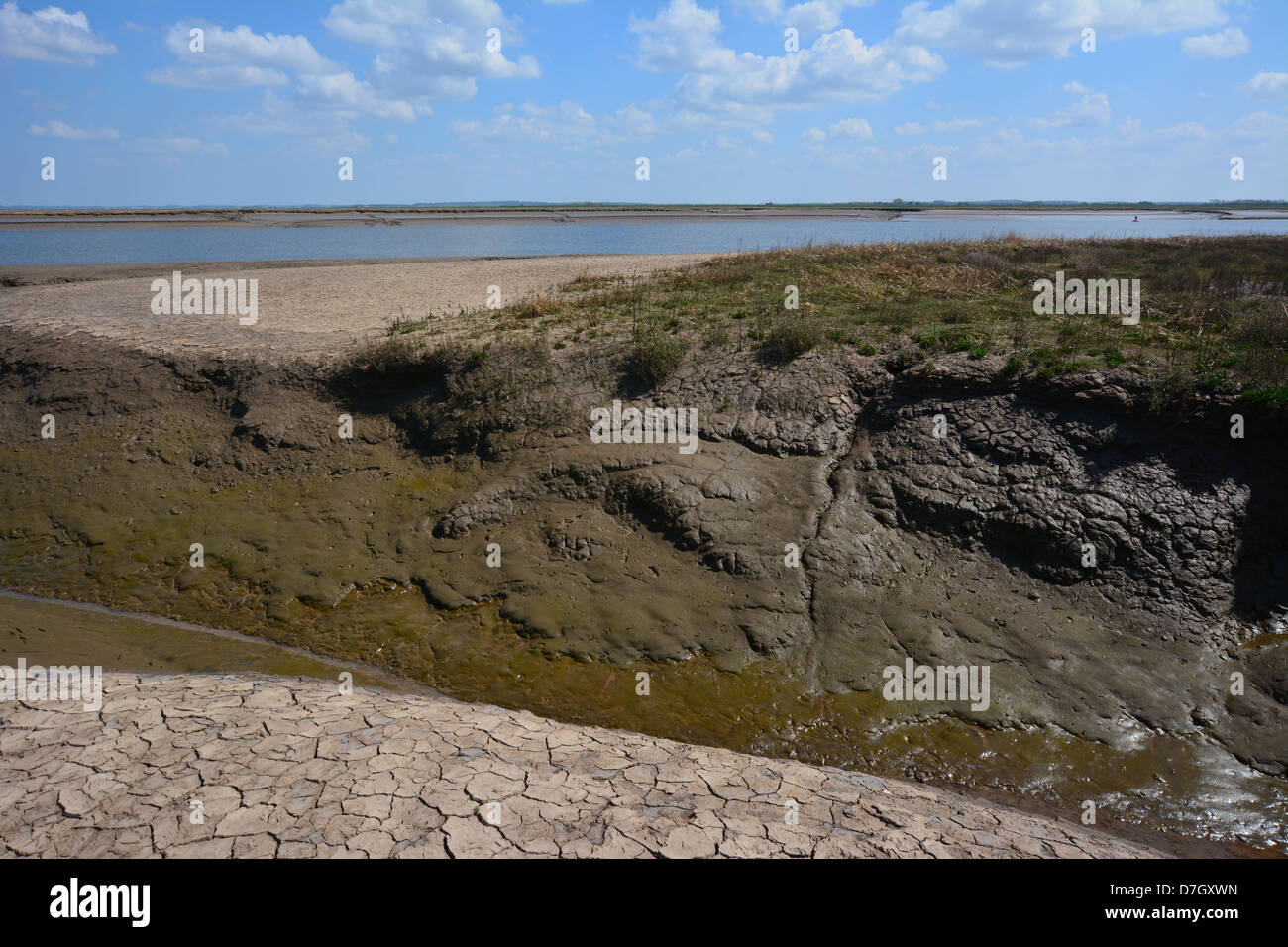 The drying creak Stock Photo - Alamy