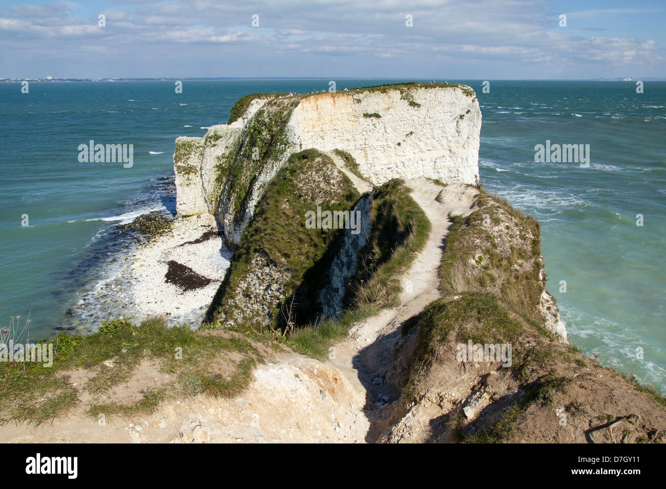 Old Harry Rocks chalk formations on Handfast Point, Isle of Purbeck on ...
