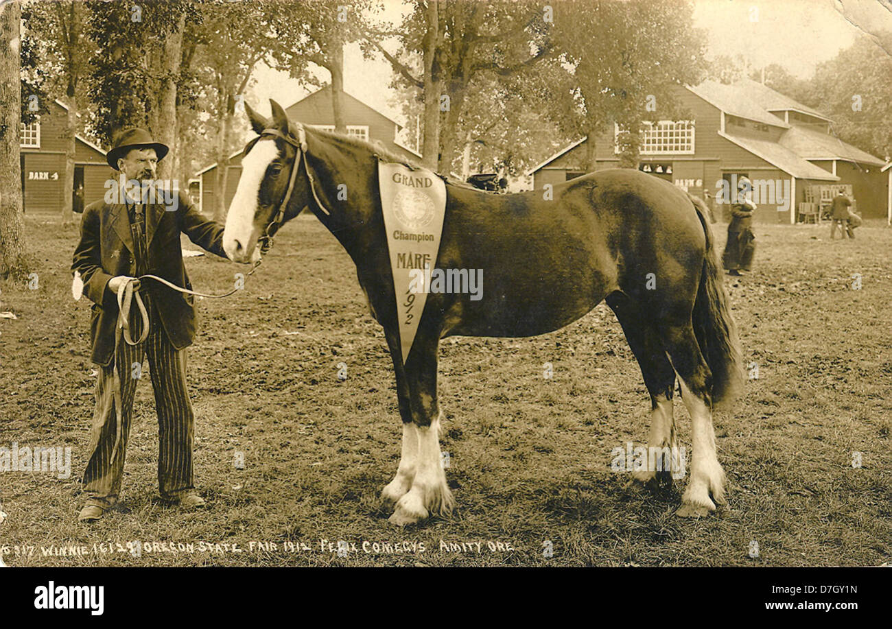 Mare fair hi-res stock photography and images - Alamy