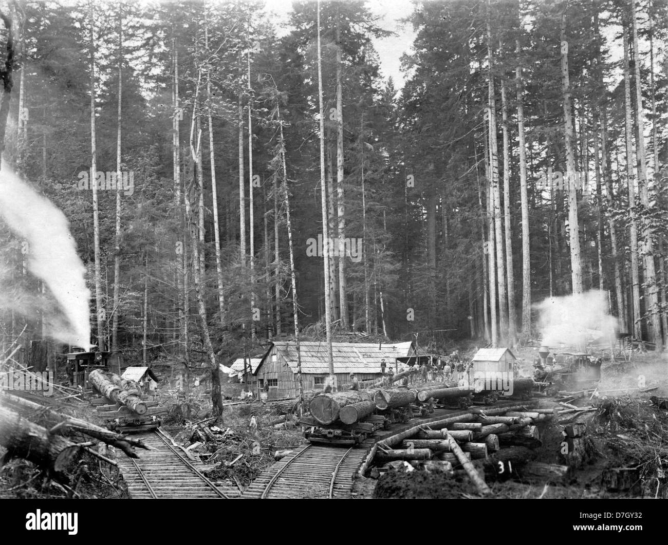 This historical photograph showcases a logging railroad, a critical ...